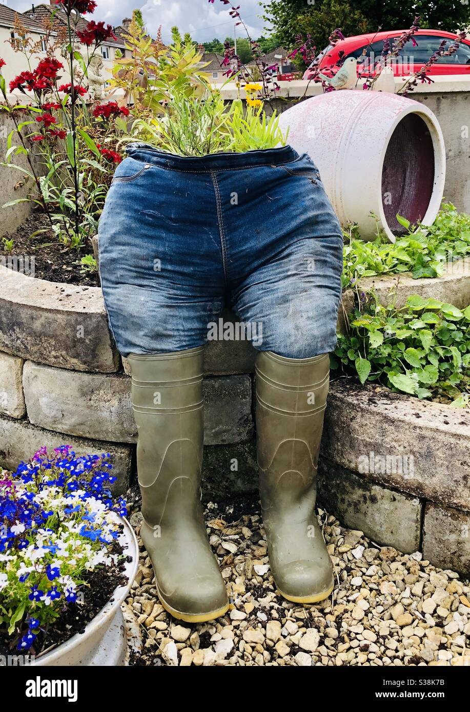 Feeling Seedy !! Stock Photo - Alamy