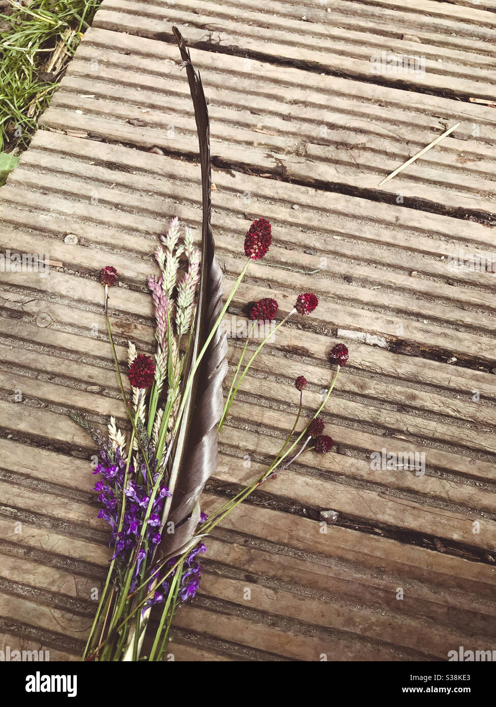 Gathered wildflowers hi-res stock photography and images - Alamy