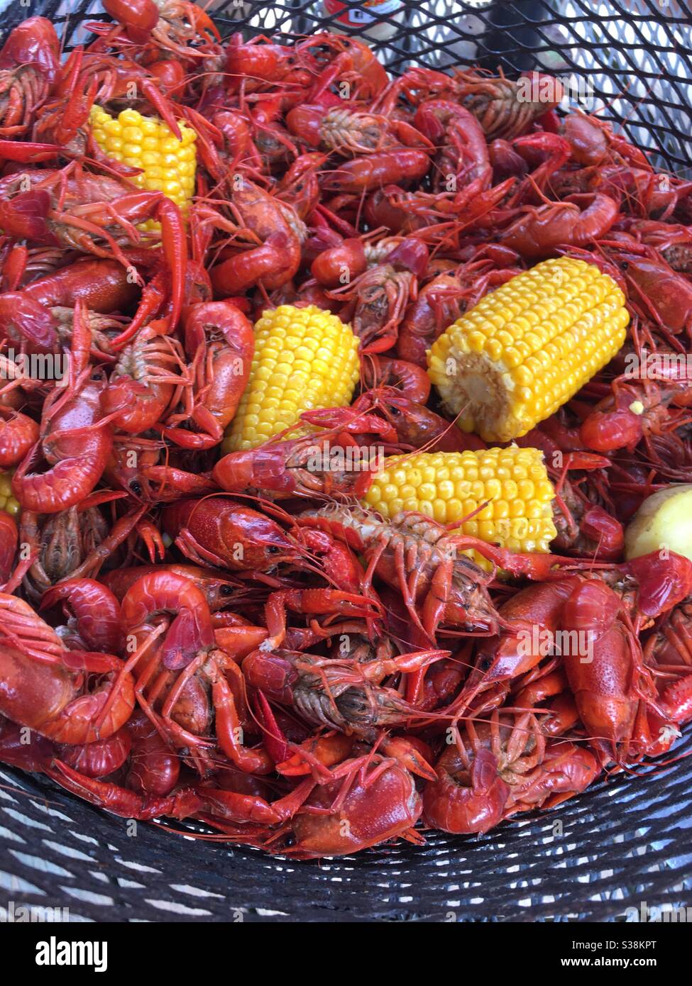 Louisiana Swamp Crayfish High Resolution Stock Photography and Images ...