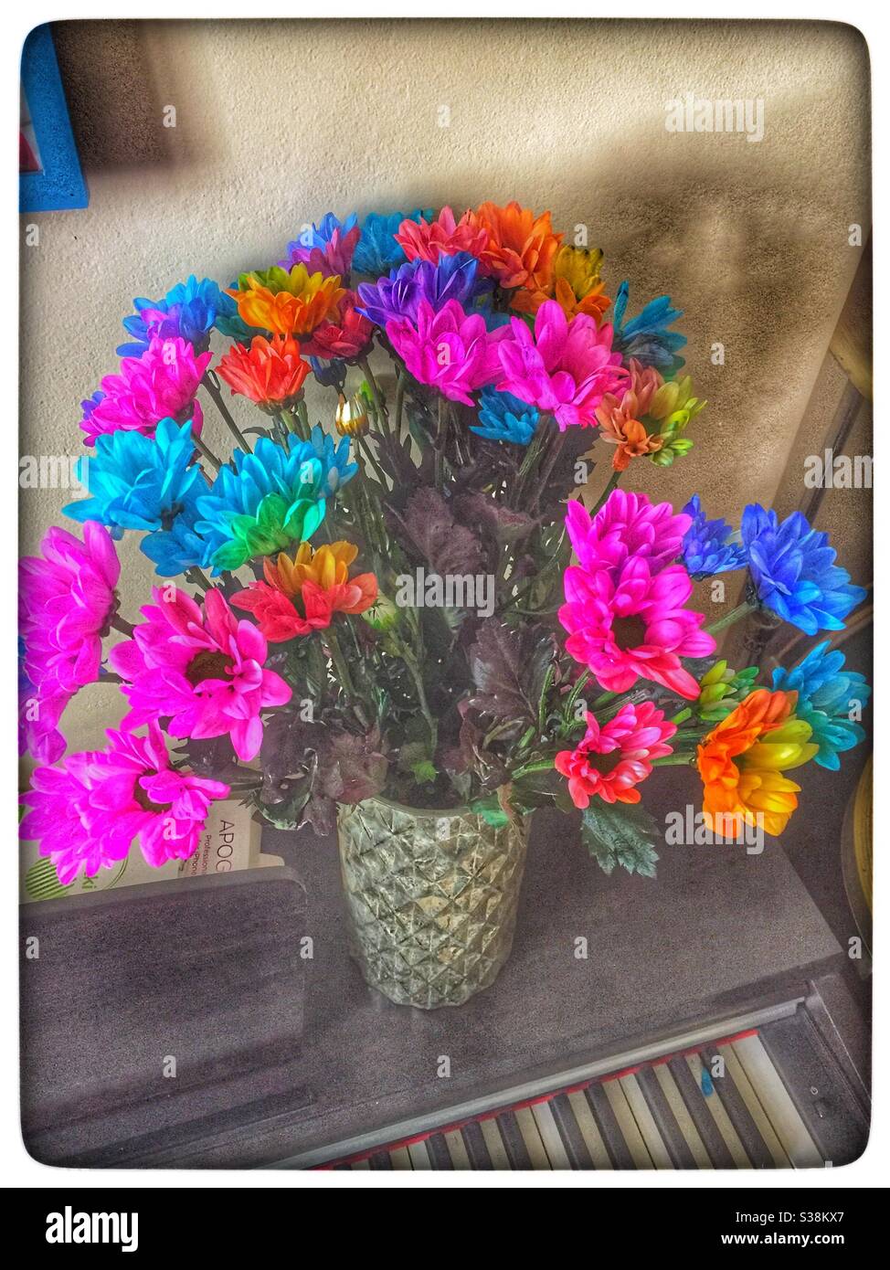 Vase of rainbow flowers on a piano Stock Photo - Alamy