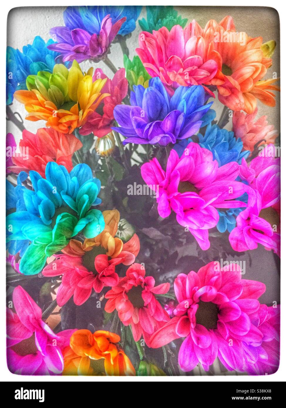 Rainbow flowers hi-res stock photography and images - Alamy