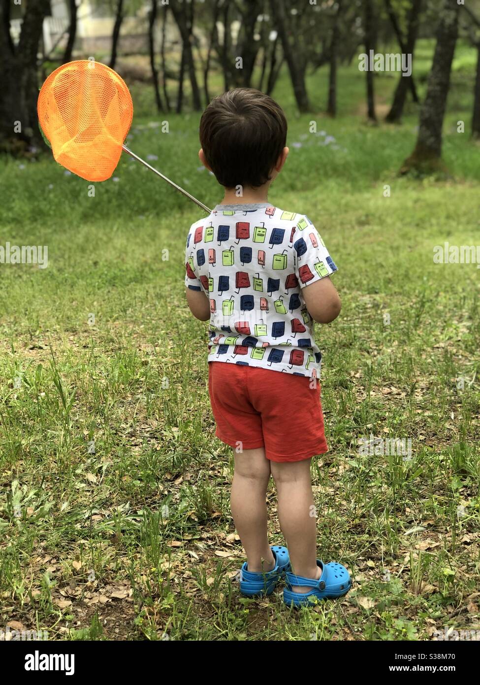 Boy catching bugs Stock Photo - Alamy Boy catching bugs Stock Photo - Alamy