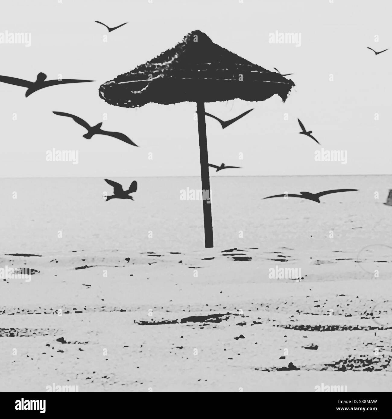Birds flying silhouette Black and White Stock Photos & Images - Alamy