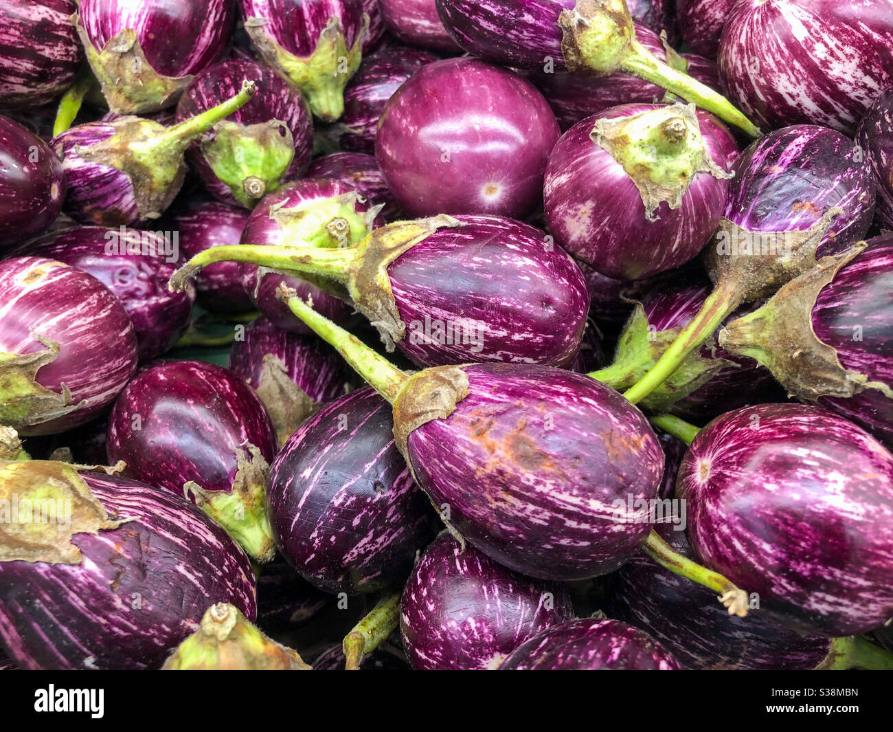 Stripy Ravaiya, an Asian vegetable on sale in a shop Stock Photo - Alamy