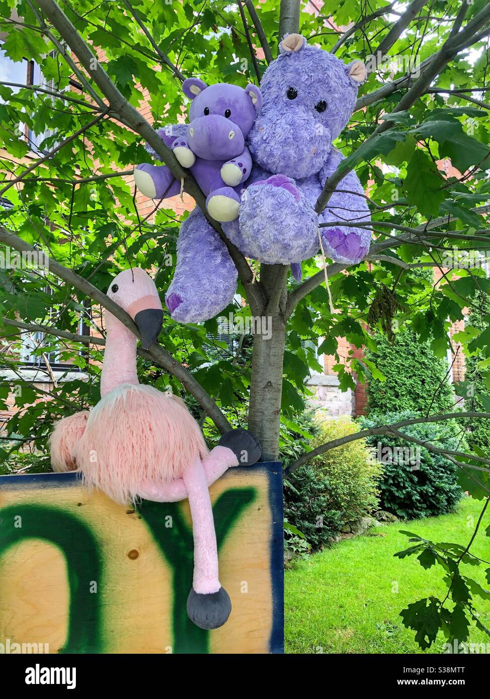 Just a few stuffed animals hanging out in a tree Stock Photo - Alamy