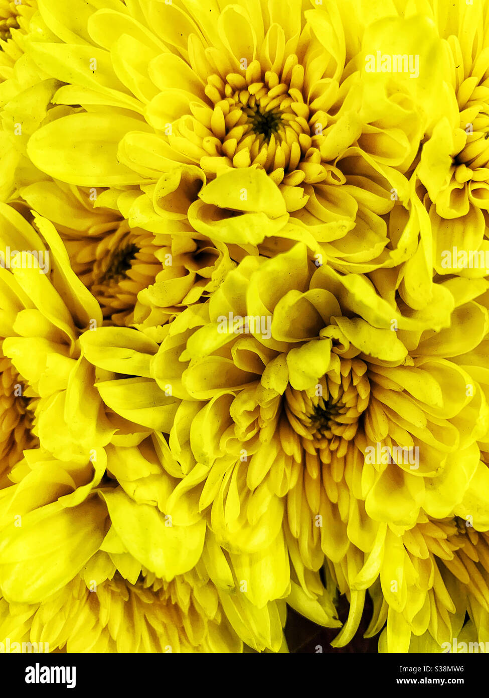 Jostling hi-res stock photography and images - Alamy