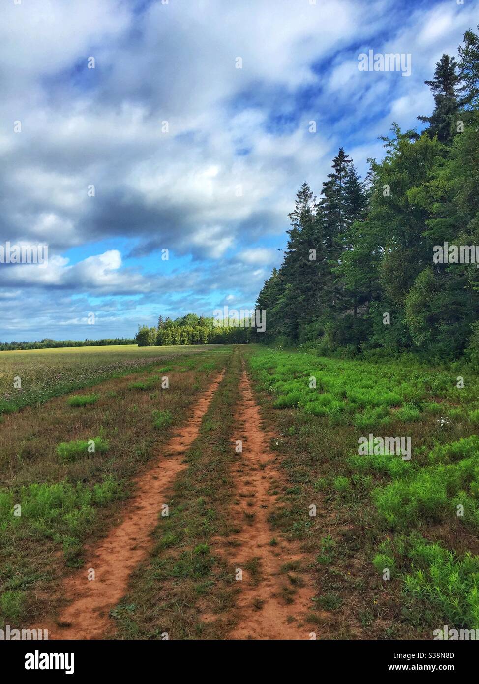 Clay dirt road along farm fields in rural Prince Edward Island, Canada ...