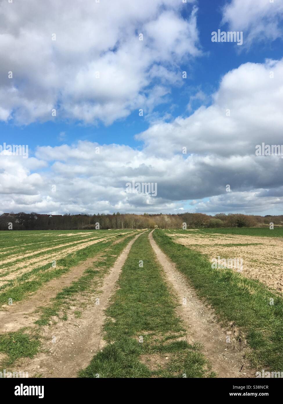 Tracks through a field Stock Photo - Alamy