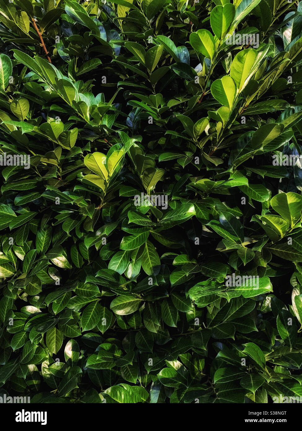 Jostling hi-res stock photography and images - Alamy