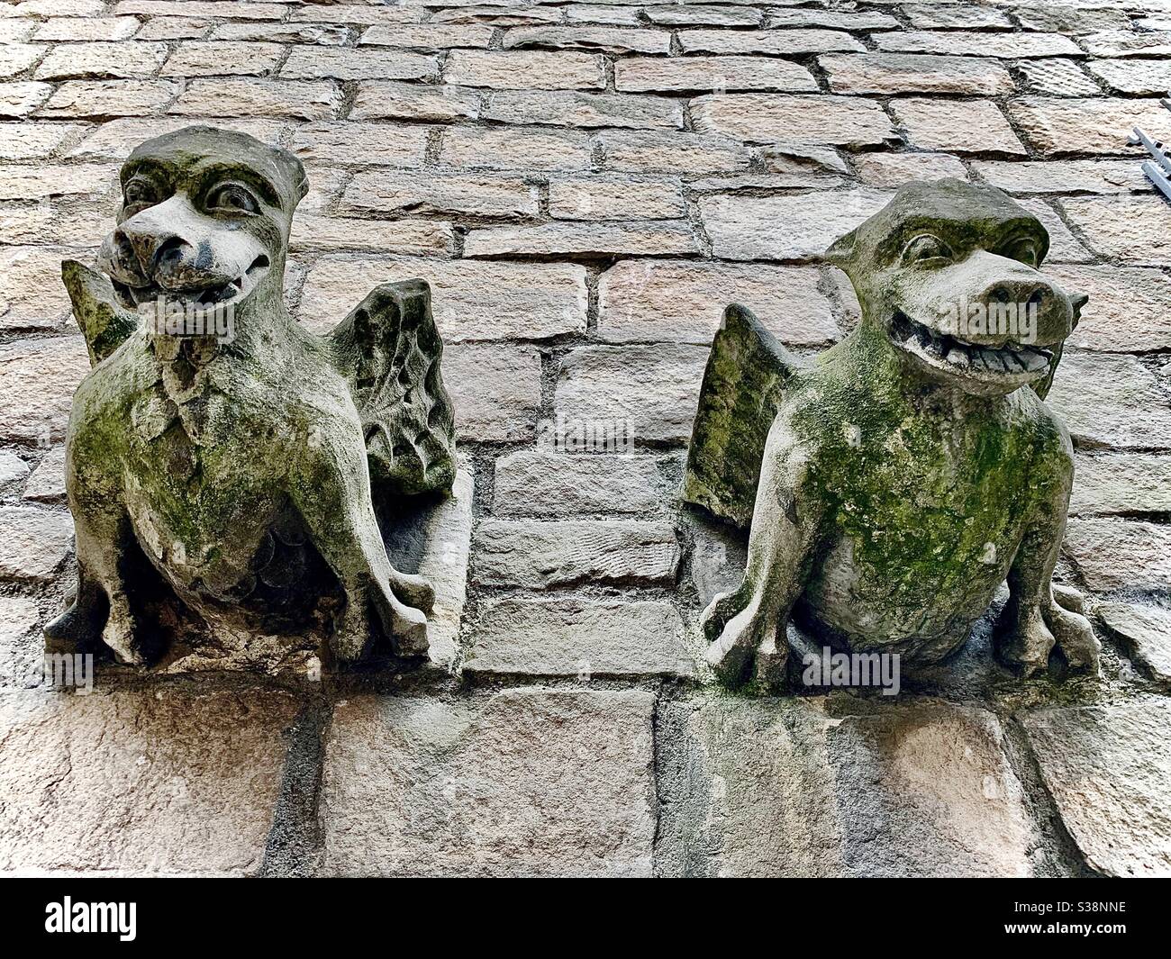 Real Gargoyles