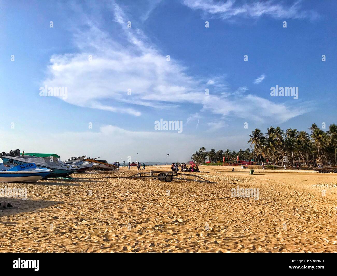 Beachside greenery hi-res stock photography and images - Alamy