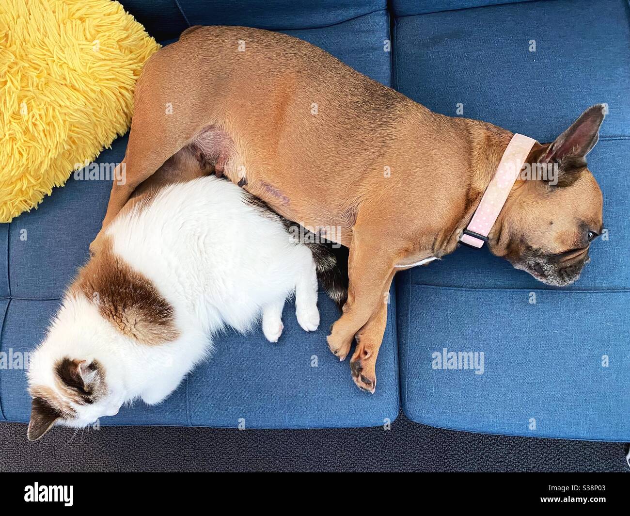 Spooning hi-res stock photography and images - Alamy