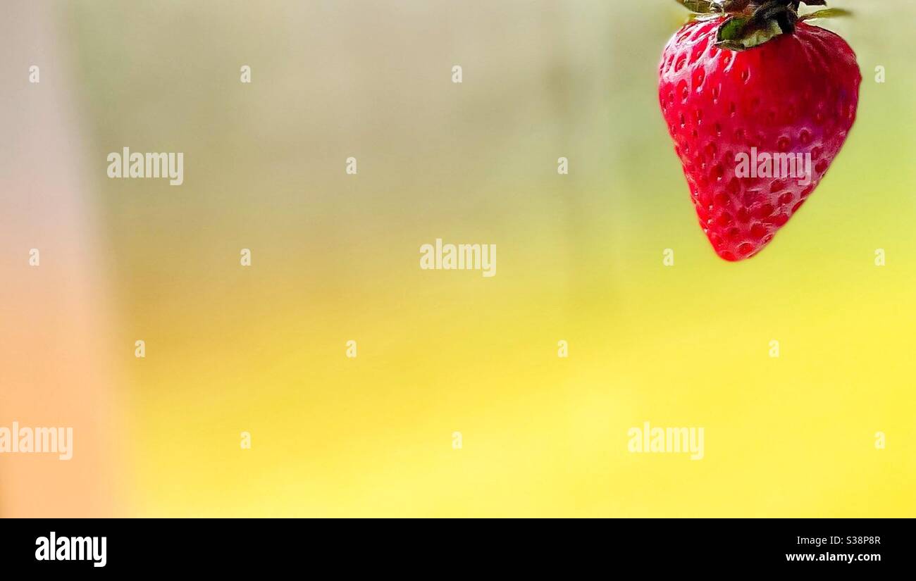 Australian fruits hi-res stock photography and images - Alamy