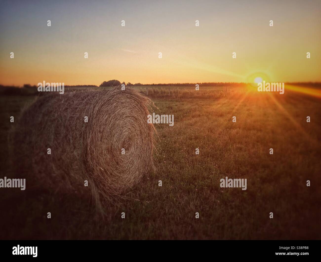 Hay bale in a farm field at sunrise Stock Photo - Alamy