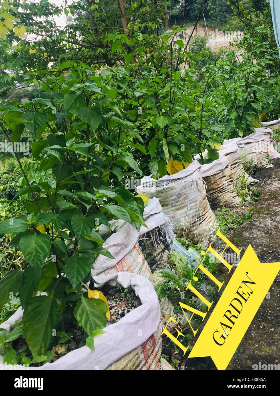 Faith garden hi-res stock photography and images - Alamy