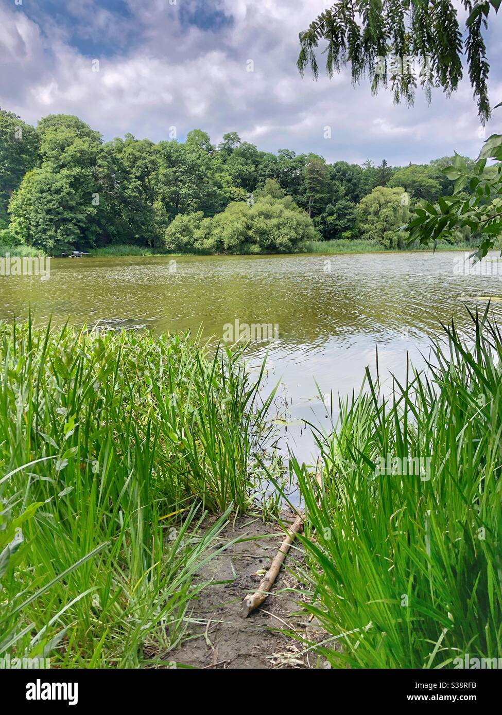 Tranquility by the pond in High Park, Toronto Stock Photo - Alamy
