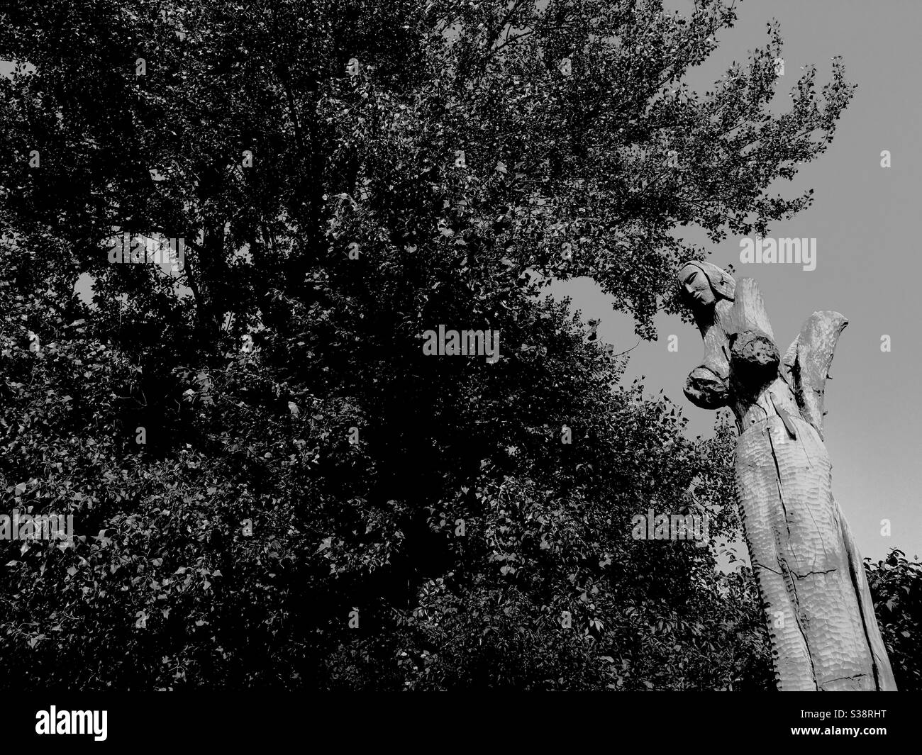 Statue Forest High Resolution Stock Photography and Images - Alamy