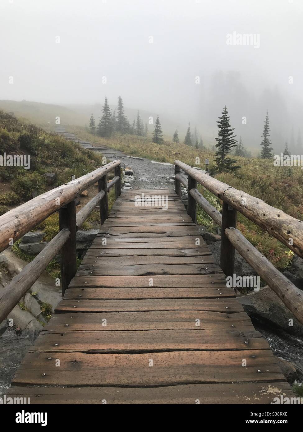 Into the mist Stock Photo - Alamy