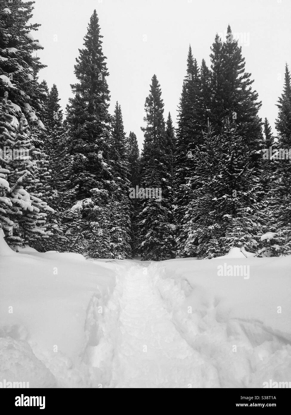 Nederland colorado hi-res stock photography and images - Alamy