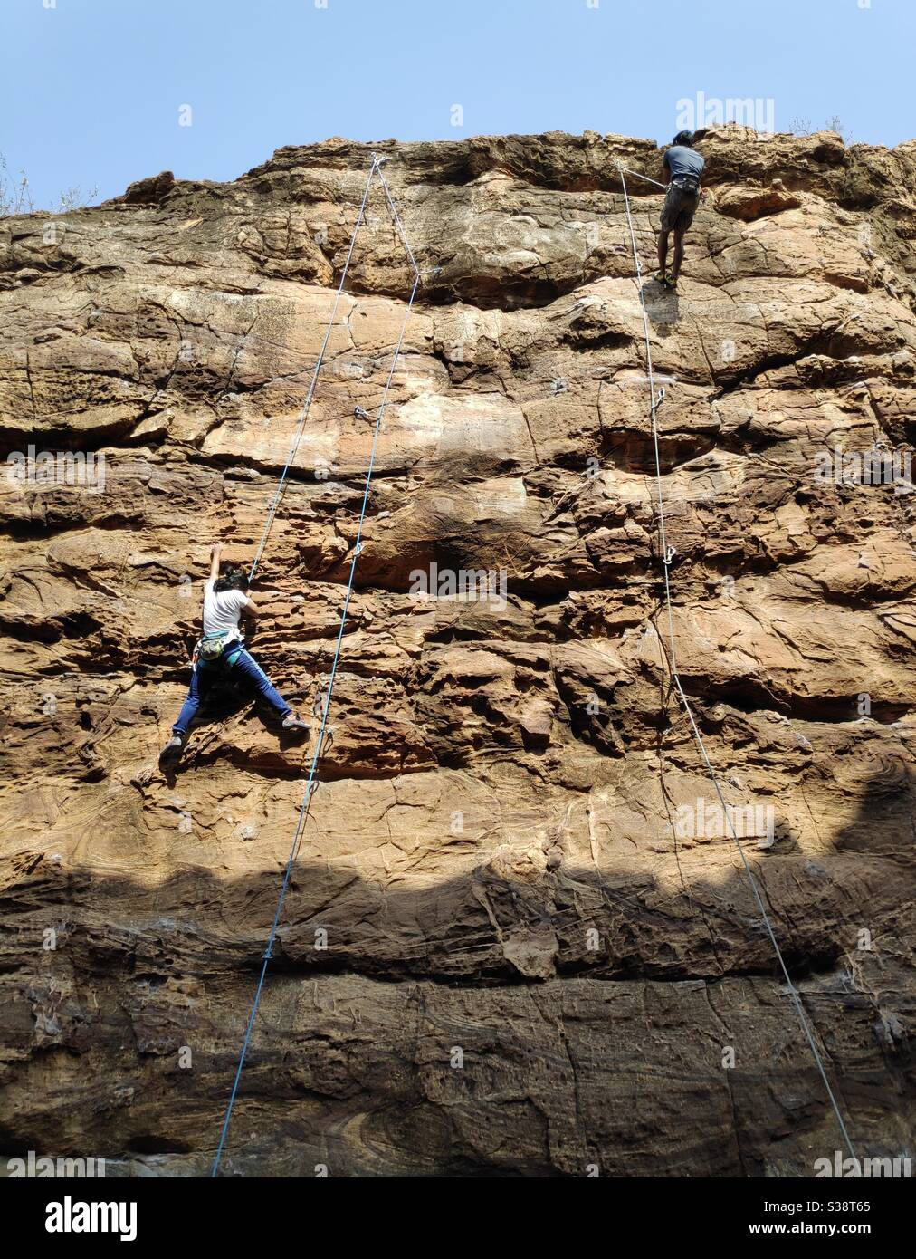 Trample on hi-res stock photography and images - Alamy