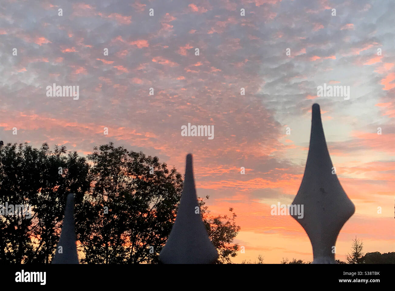 Fence with trees hi-res stock photography and images - Alamy