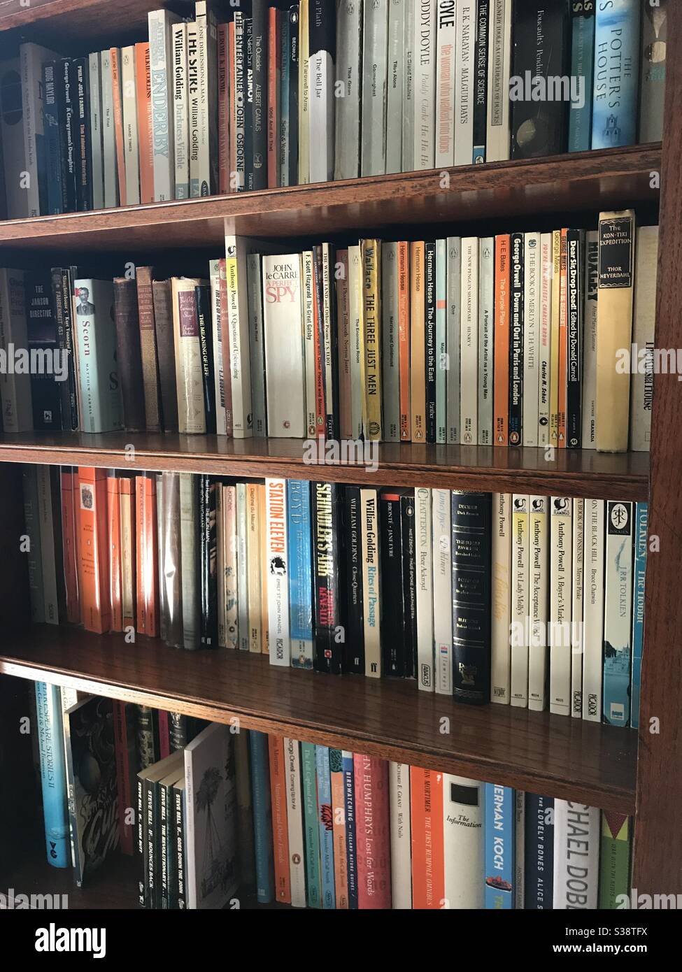 Bookcase full of books hi-res stock photography and images - Alamy