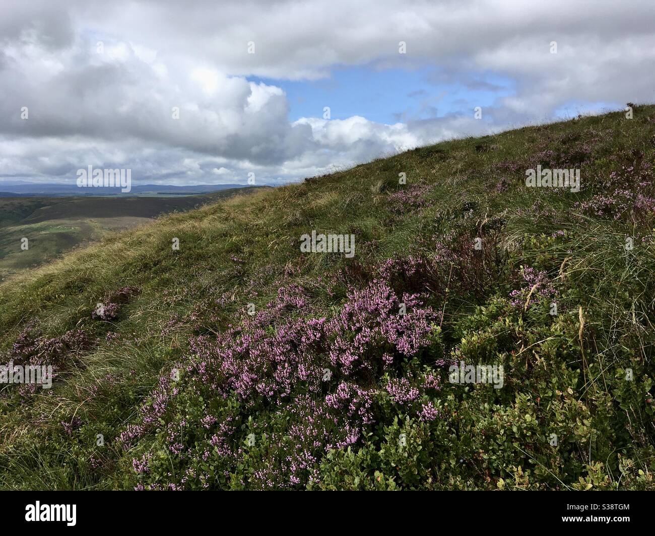Heather mountains hi-res stock photography and images - Alamy