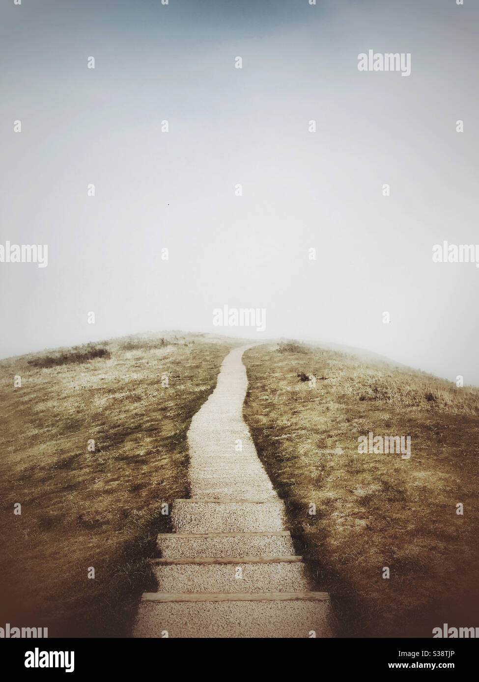 A pathway leading to an unknown destination Stock Photo - Alamy