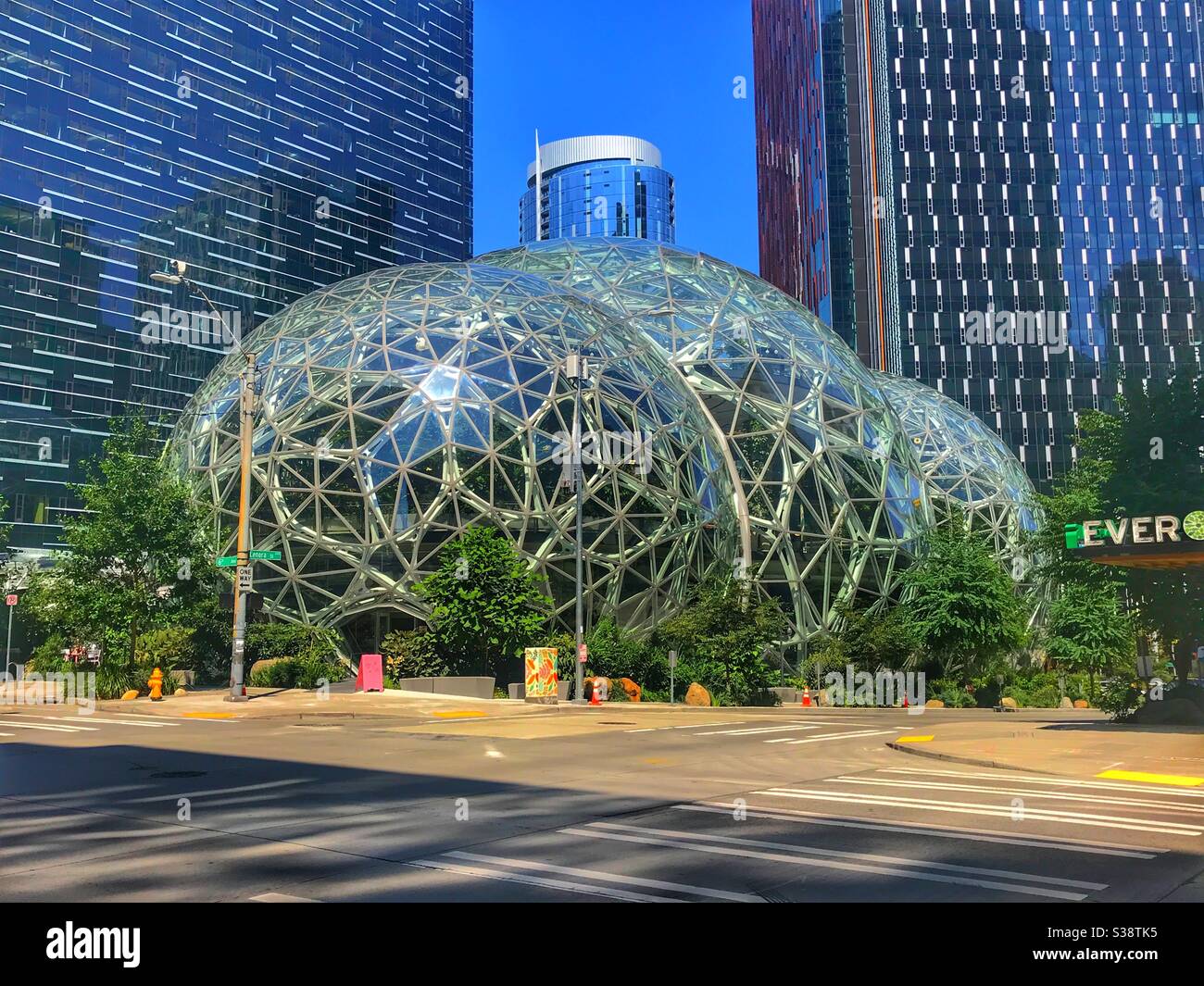 Terrarium glass hi-res stock photography and images - Alamy