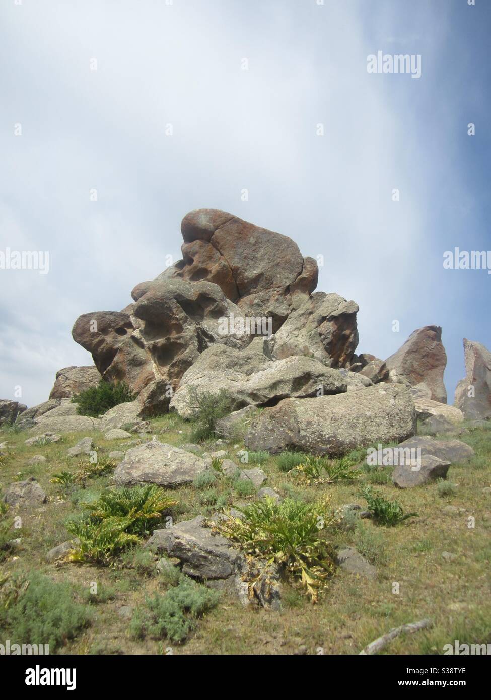 Tabiat hi-res stock photography and images - Alamy