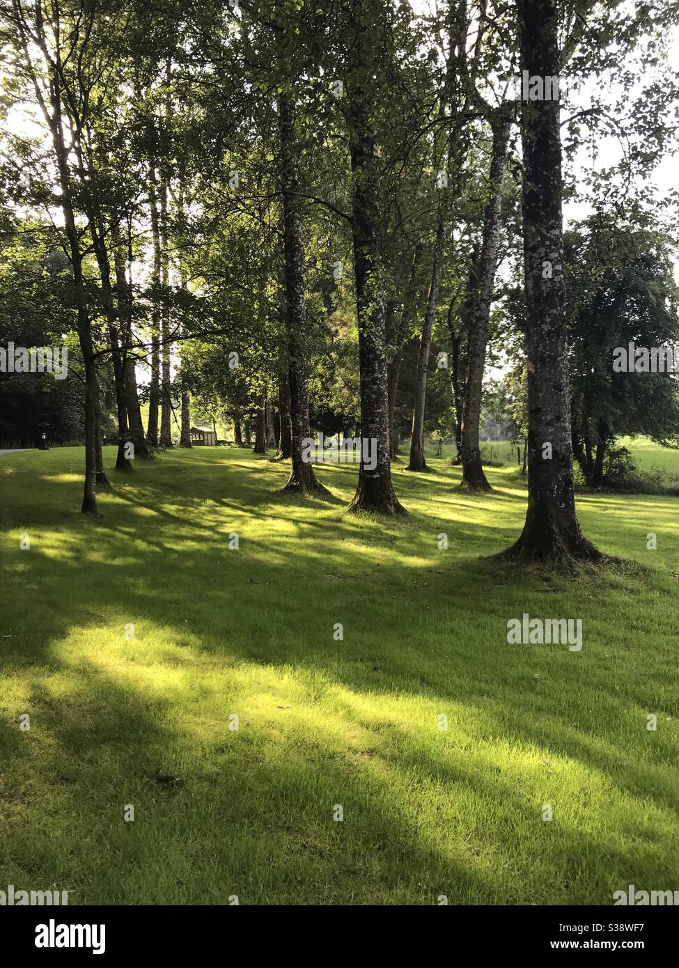 Sunny spots hi-res stock photography and images - Alamy