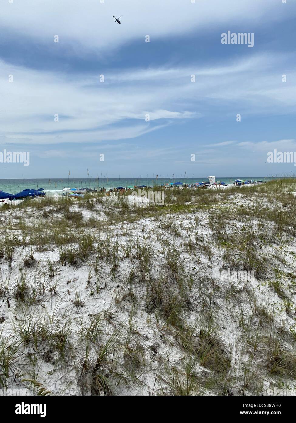 Florida Beach Sand Dunes Grass High Resolution Stock Photography and ...