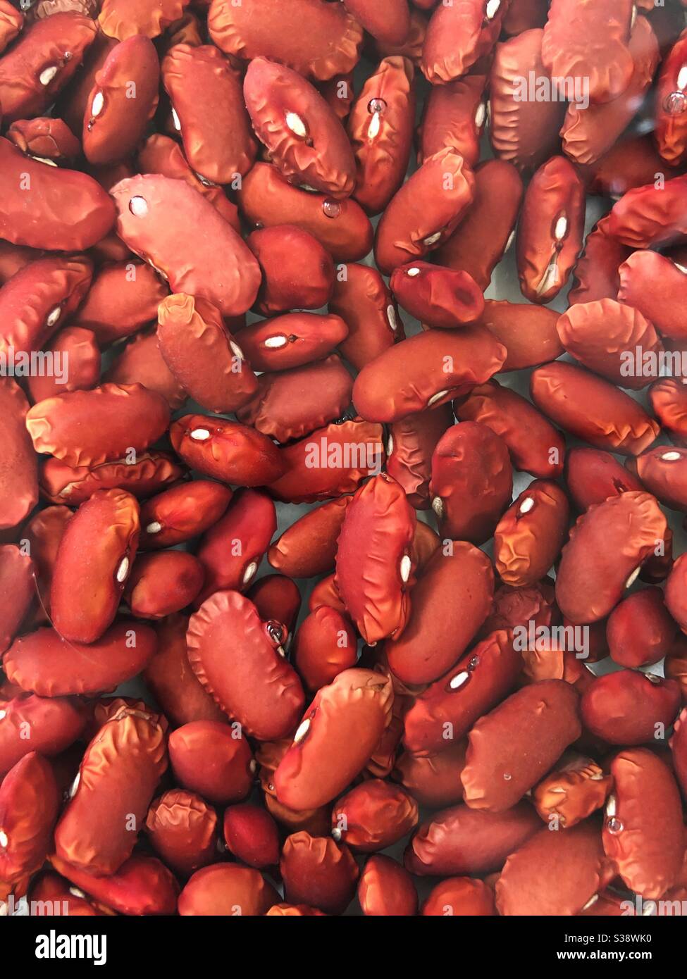Red kidney beans soaked in hi-res stock photography and images - Alamy