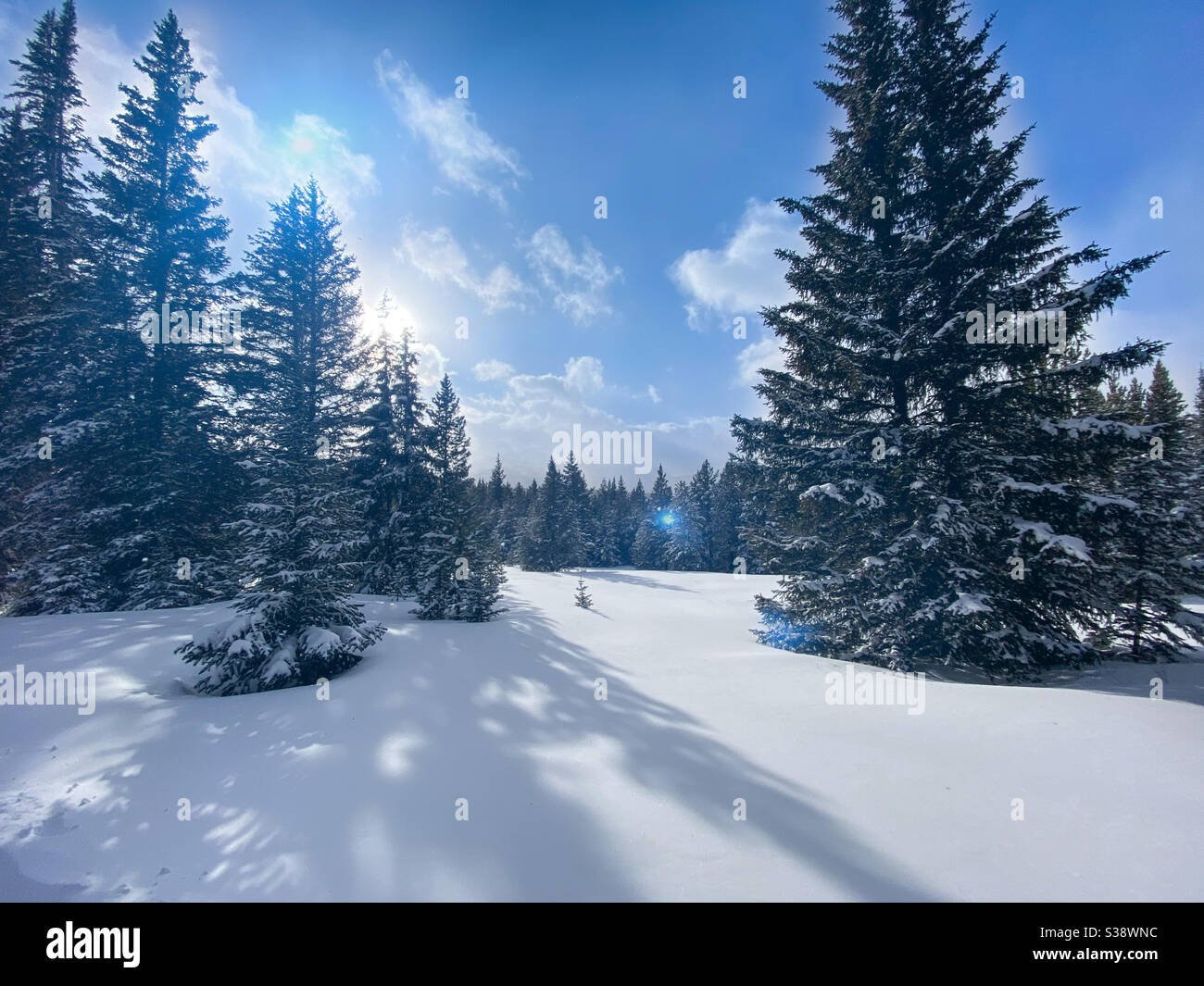 Sunny and snowy hi-res stock photography and images - Alamy