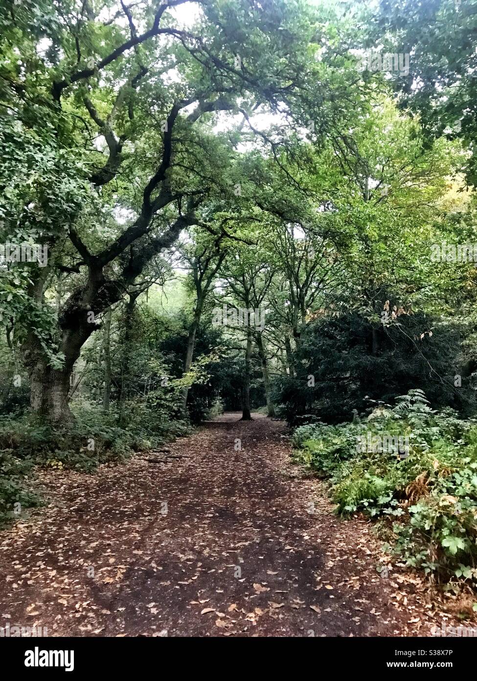 Highwood hi-res stock photography and images - Alamy