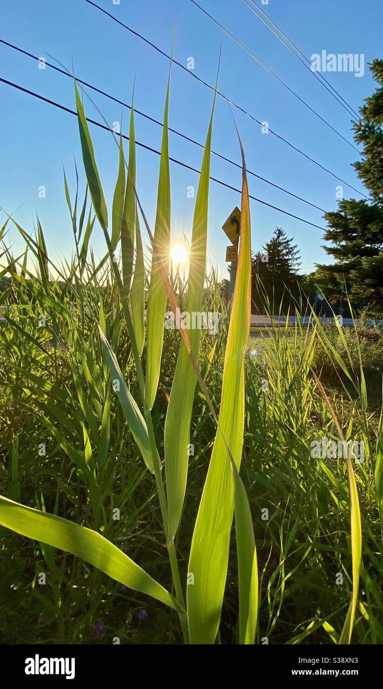 Good pics hi-res stock photography and images - Alamy