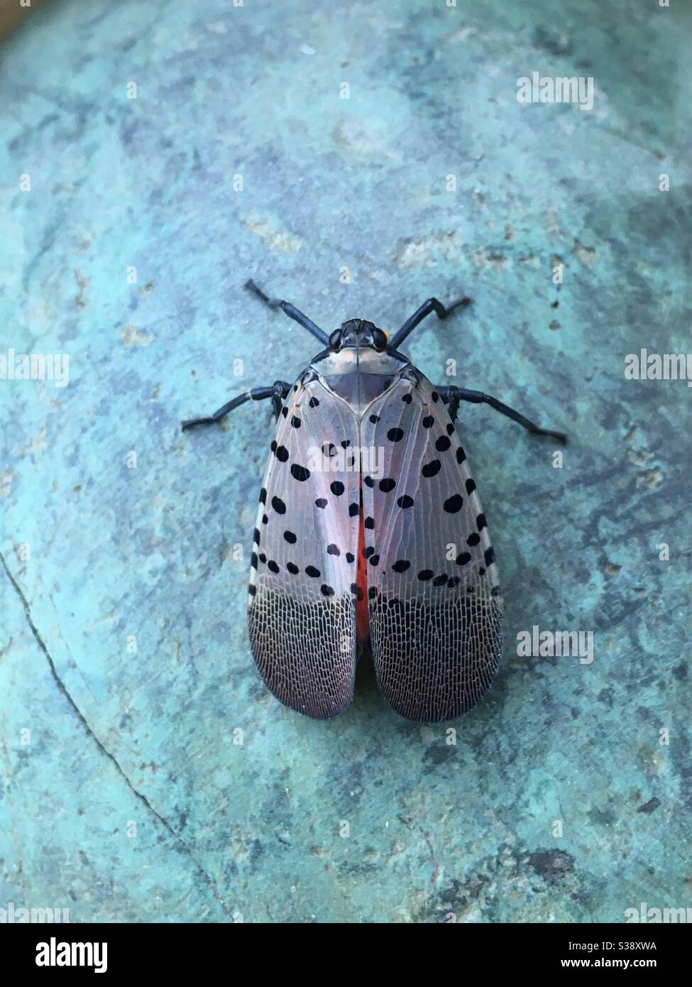 Asia etc hi-res stock photography and images - Alamy