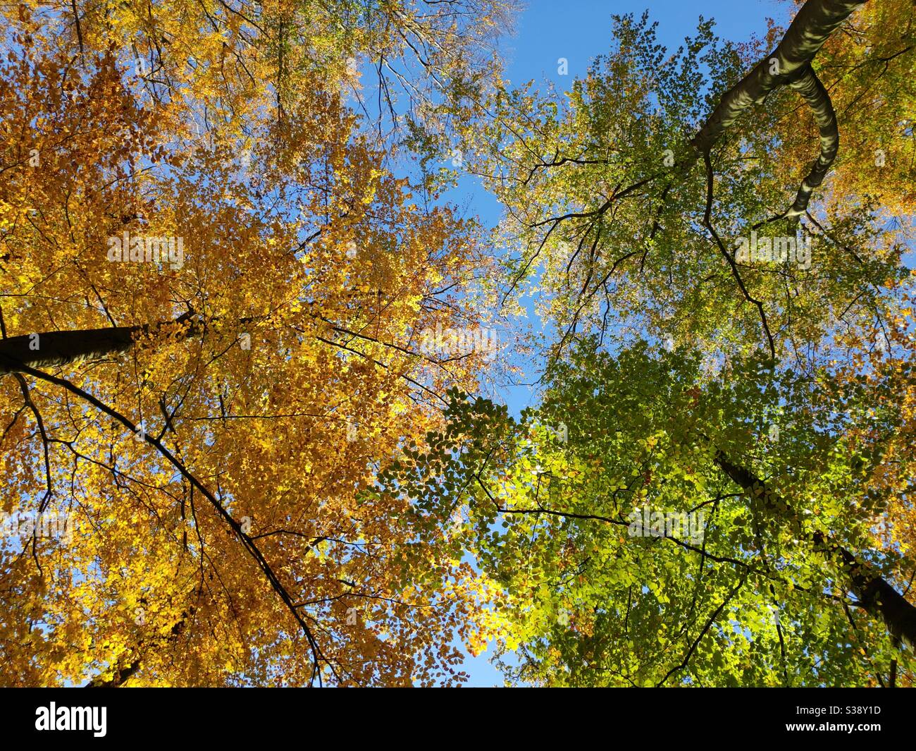 Warmth warm colors hi-res stock photography and images - Alamy