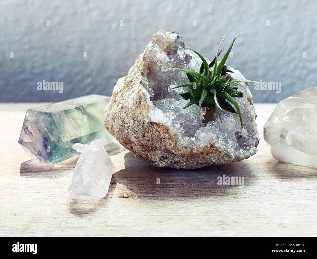 Quartz Plant High Resolution Stock Photography and Images - Alamy