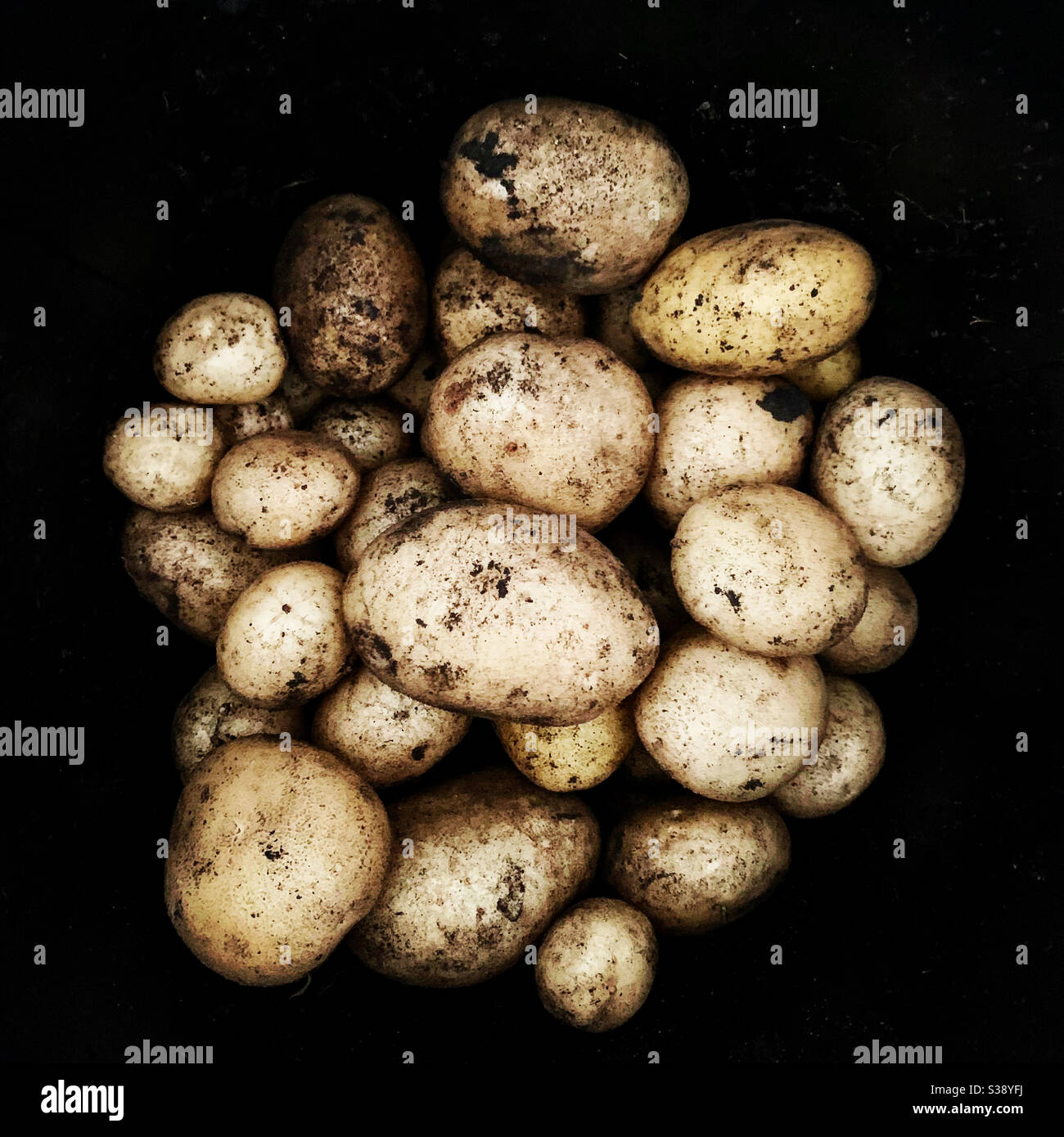 Potato sizes hi-res stock photography and images - Alamy