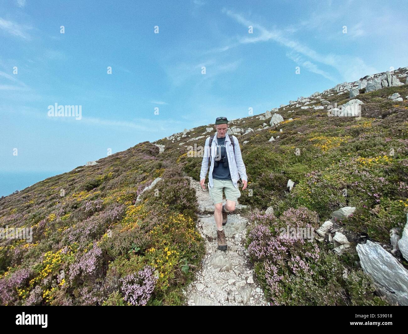 Walker on the cliff path at Holyhead mountain near South Stack ...