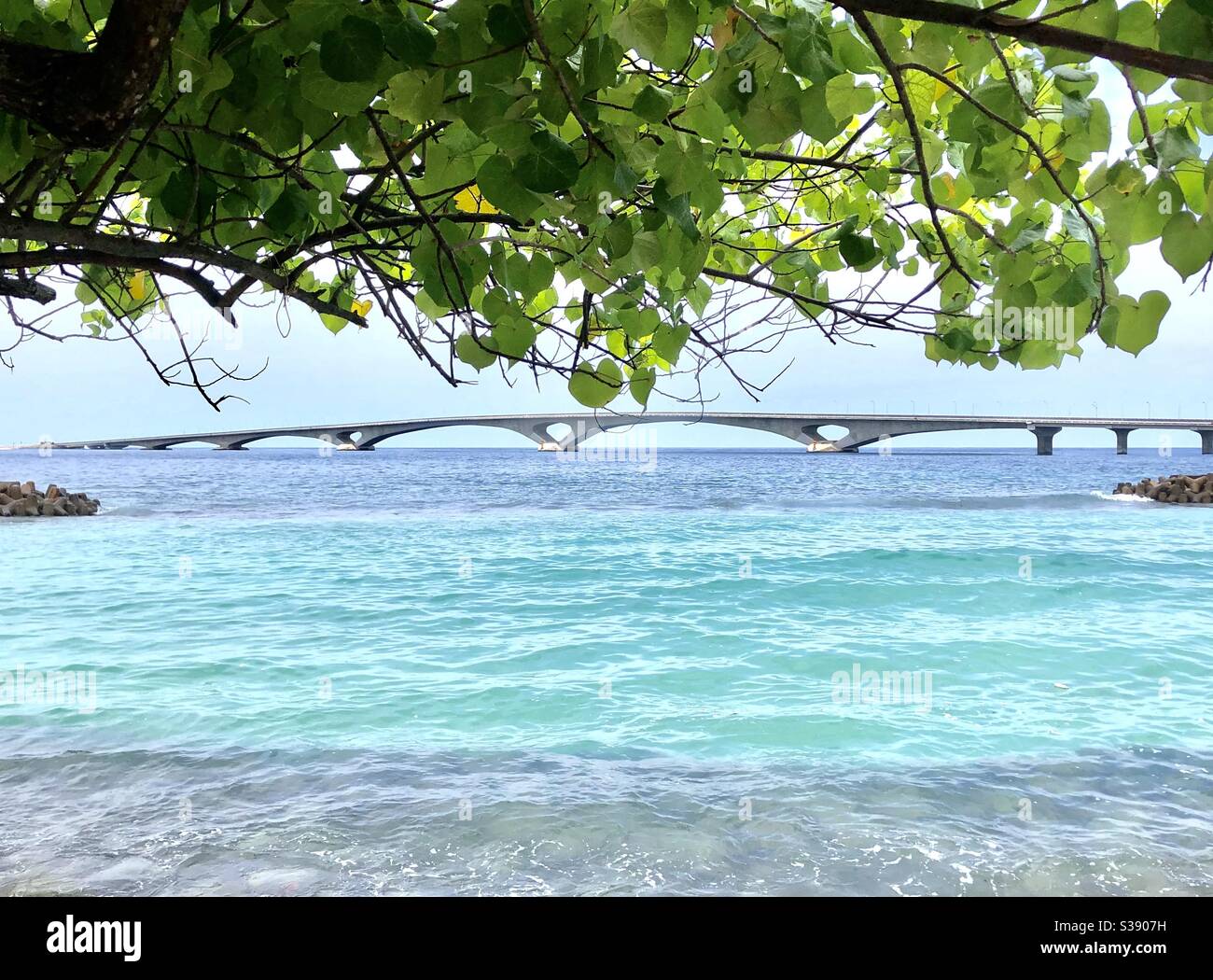 Bridge view hi-res stock photography and images - Alamy