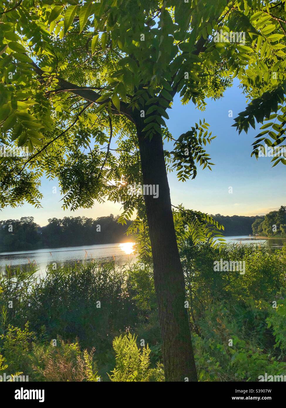 Grenadier pond hi-res stock photography and images - Alamy