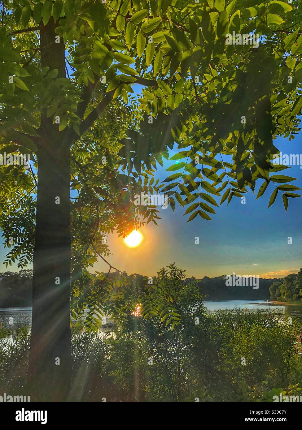 A beautiful sunset over Grenadier Pond in High Park, Toronto Stock ...