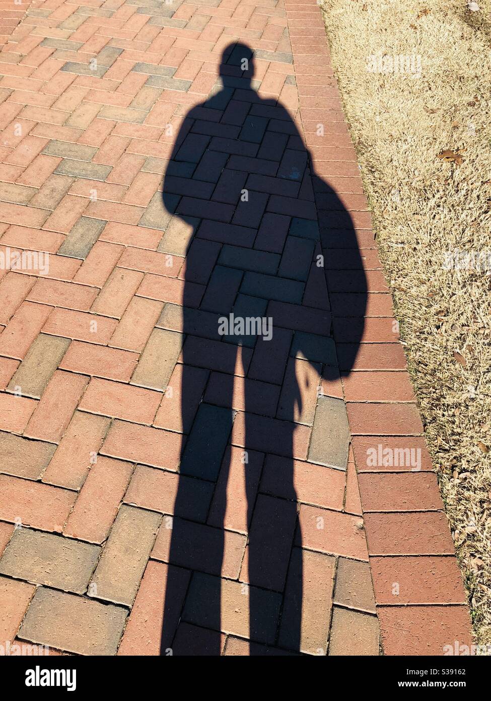 Self shadow hi-res stock photography and images - Alamy