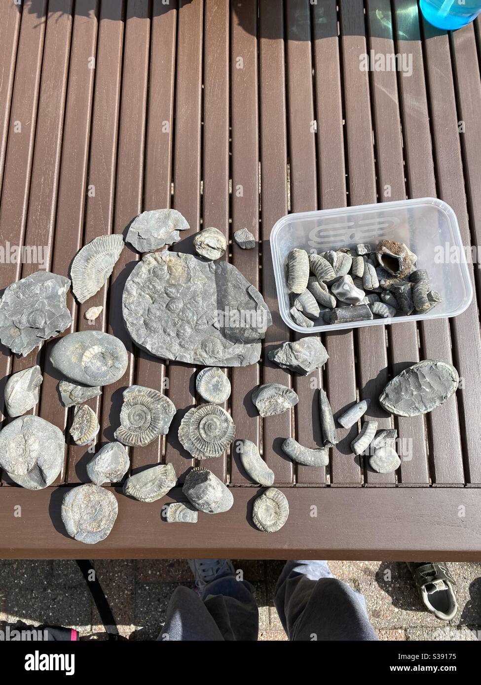 Rock fossils hi-res stock photography and images - Alamy