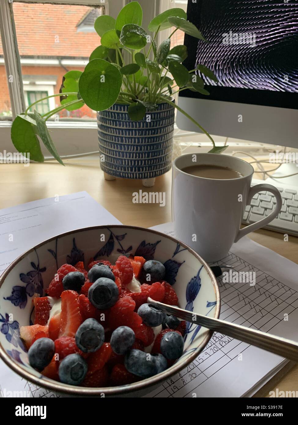 Yoghurt plant hi-res stock photography and images - Alamy