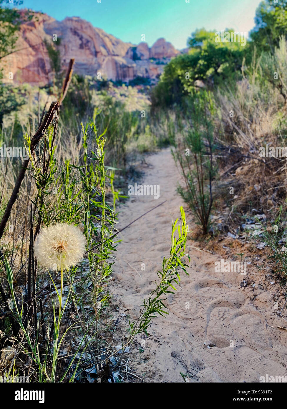 Sandy trail hi-res stock photography and images - Alamy