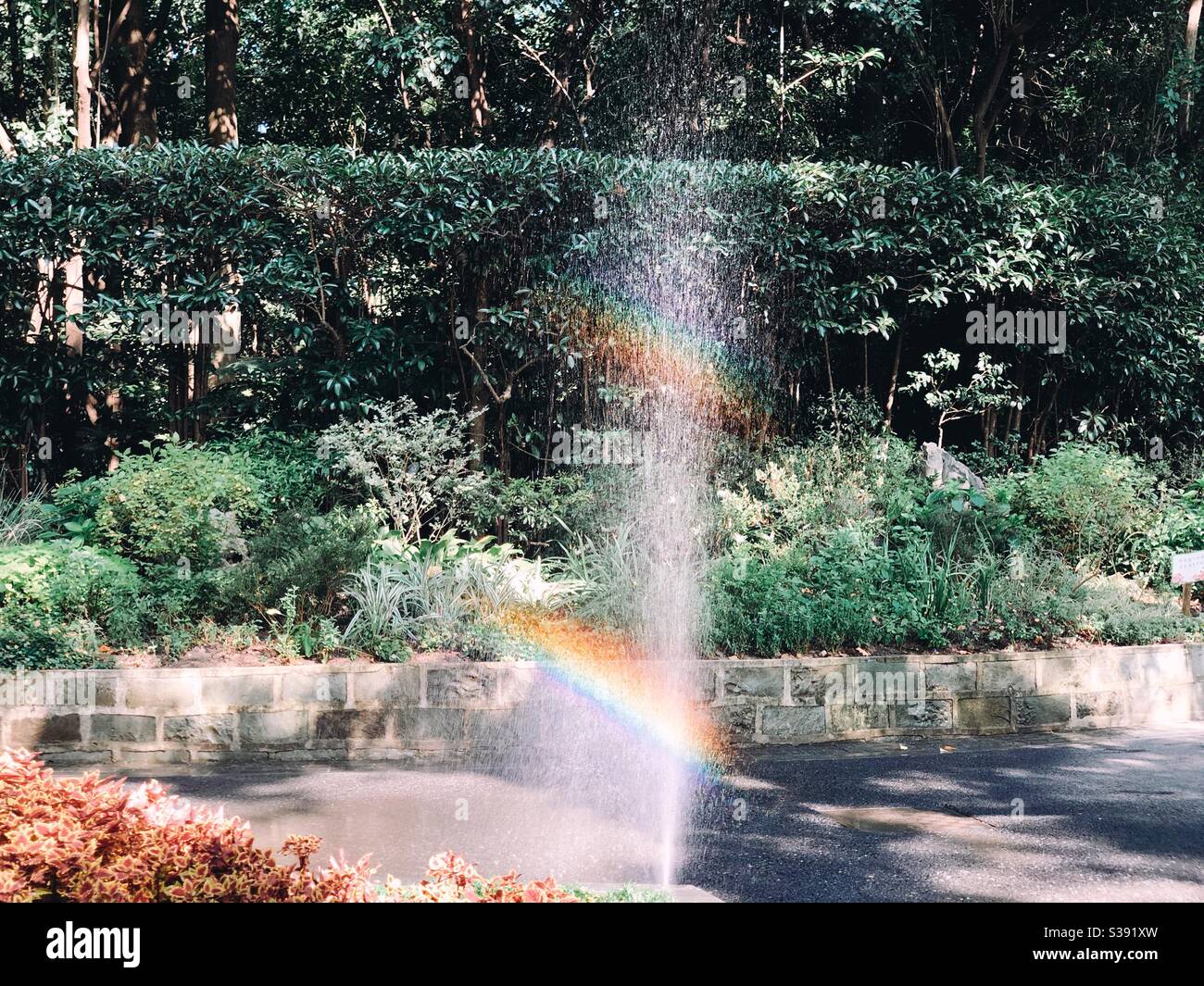 Mini rainbow hi-res stock photography and images - Alamy