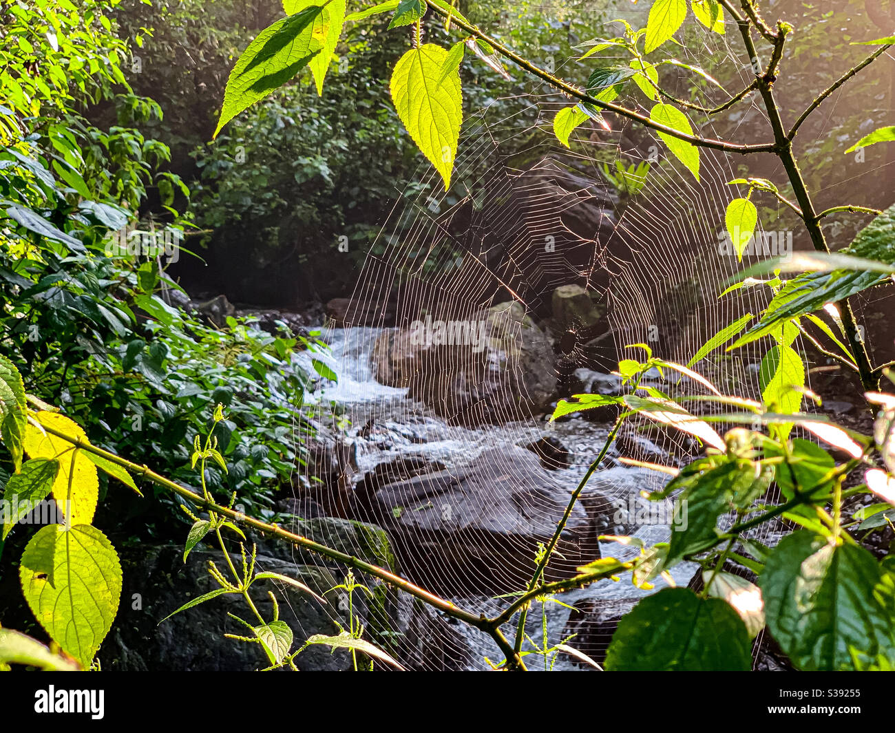 Dhanaulti uttarakhand hi-res stock photography and images - Alamy